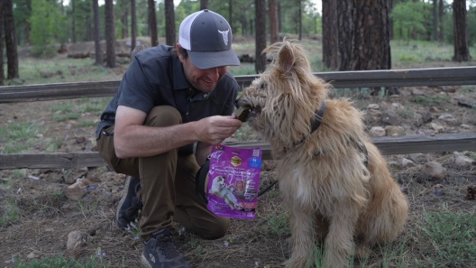 YUMMY COMBS Chicken Flossing Dental Dog Treats, X-Small, 96 count ...