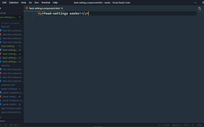 Modern Web Apps With Angular - Designing the Settings Panel