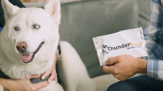 THUNDEREASE Powered by ADAPTIL Calming Pheromone Collar for Dogs, Large ...