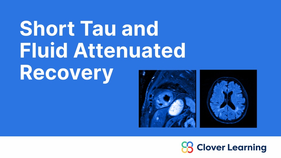 Short Tau and Fluid Attenuated Inversion Recovery | Video Lesson ...