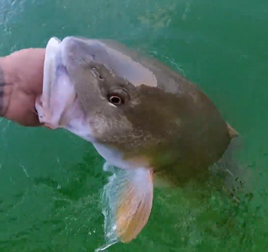 Fish AMI Fishing Charters - Updated 2024 Prices