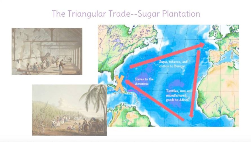 The Triangular Slave Trade | IL Classroom