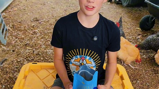 BUFF CLUCKS Herb Chicken Supplement, 12-oz bag - Chewy.com