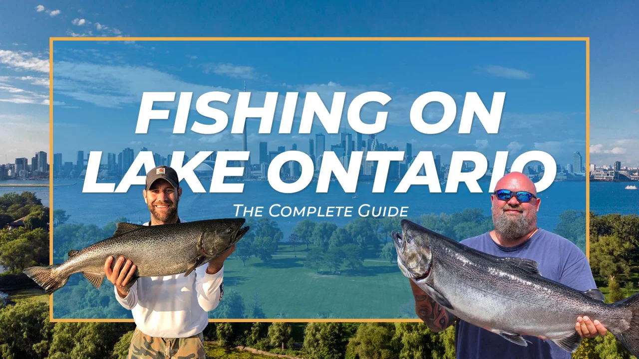 Species Lake Ontario Fish | atelier-yuwa.ciao.jp