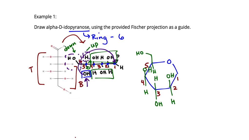 Drawing Cyclic Monosaccharides | Chemistry | Study.com