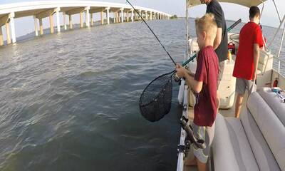 81-Catfish In 4-hours! - Port Clinton Fishing Report - FishingBooker