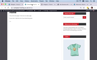 Everything You Need to Know About WordPress Widgets - Examples of Widgets