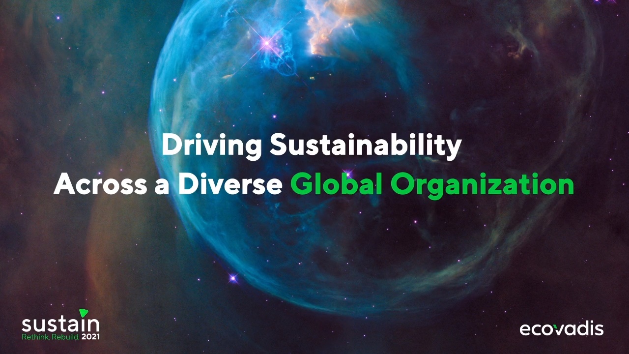 Driving Sustainability Across A Diverse Global Organization | EcoVadis