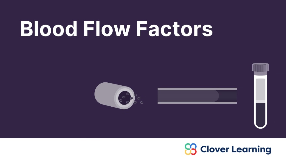 Blood Flow Factors | Video Lesson | Clover Learning