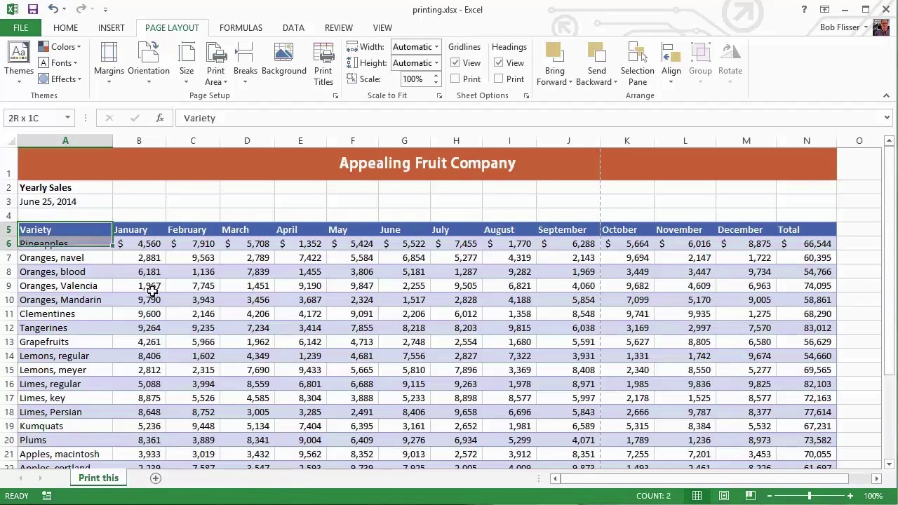 Introduction to Spreadsheets - Printing and Creating PDFs