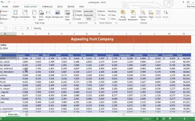 Introduction to Spreadsheets - Printing and Creating PDFs
