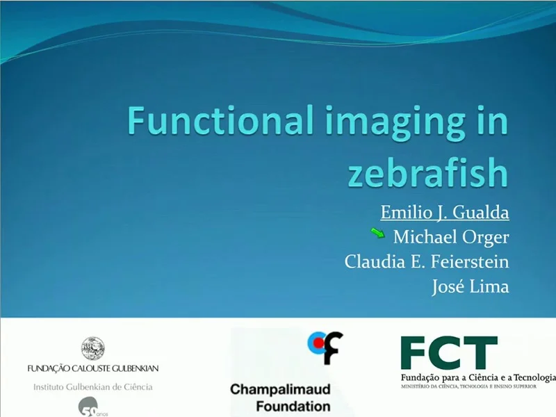 Light Sheet Microscopy Zebrafish | Shelly Lighting