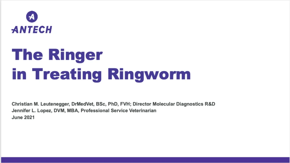 The Ringer in Ringworm - Antech Diagnostics