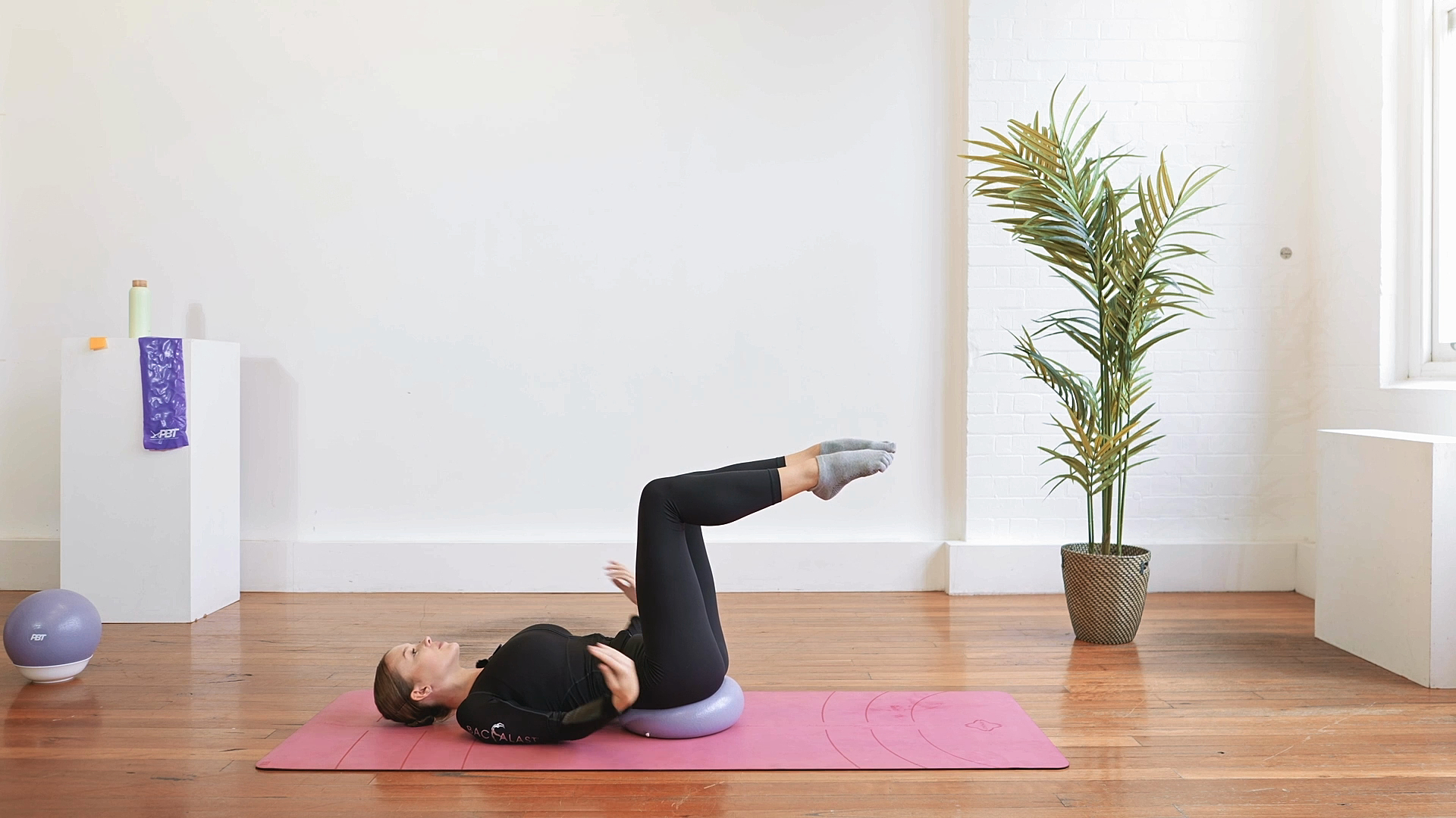 Progressing Ballet Technique (PBT)