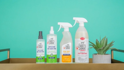 SKOUT'S HONOR Super Sour Anti Chew Dog & Cat Spray, 8-fl oz bottle ...