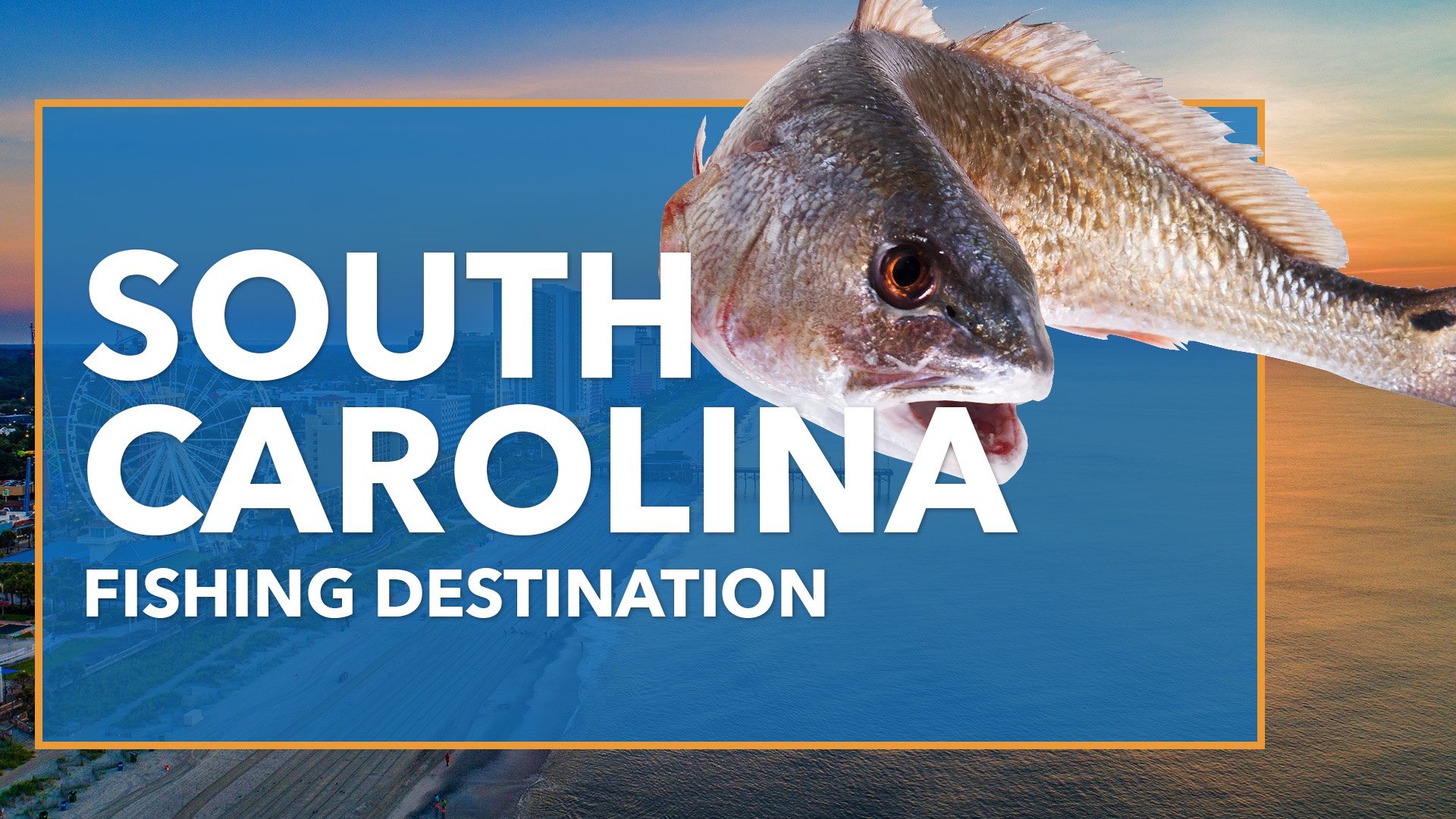 Charleston Fishing: The Complete Guide (Updated 2023)