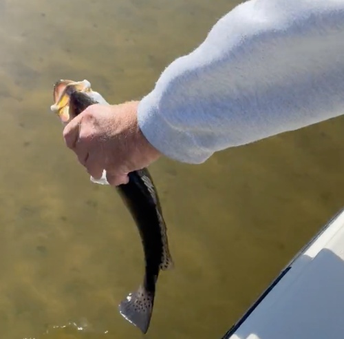 Boogie Man Fishing Charters LLC (St. Helena Island) - Updated 2023 ...