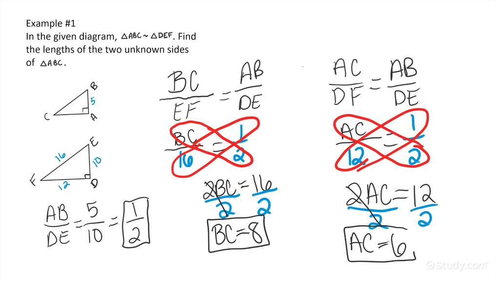 Using SSS in Similar Triangles | Geometry | Study.com